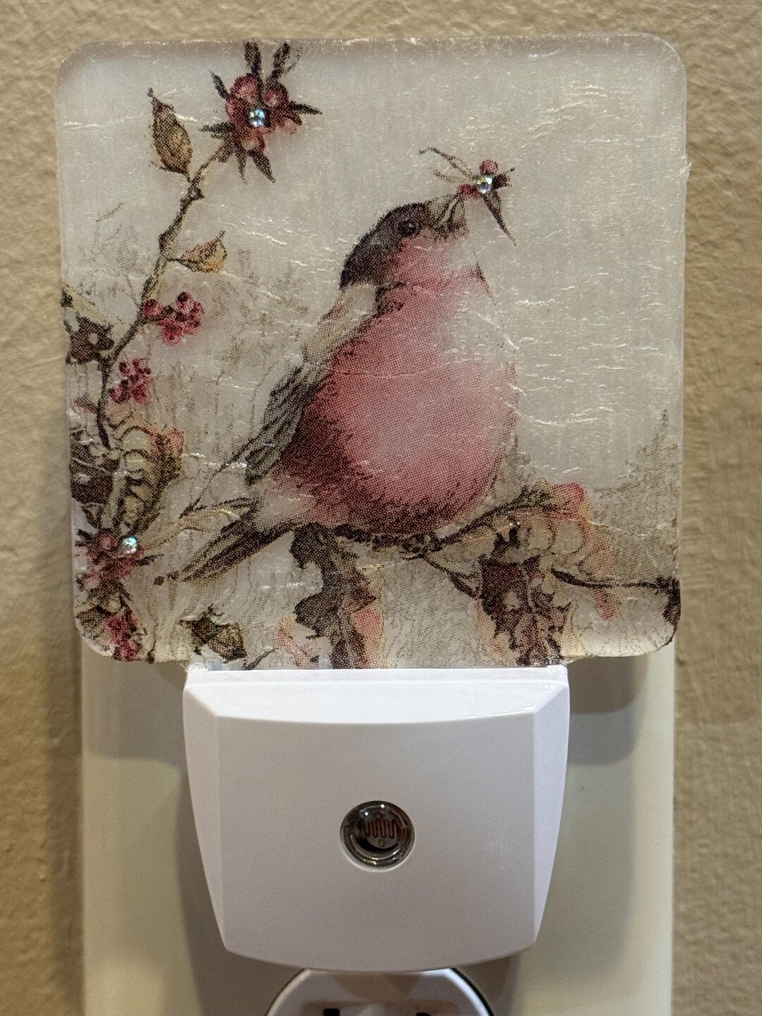 Bullfinch Bird LED Night Light - Etsy