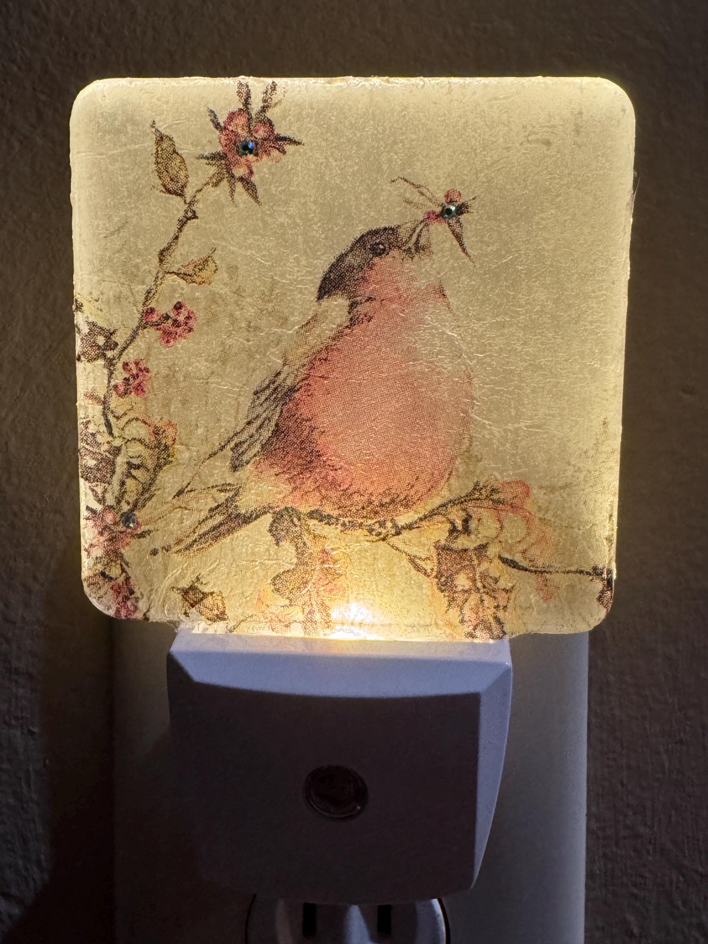 Bullfinch Bird LED Night Light - Etsy