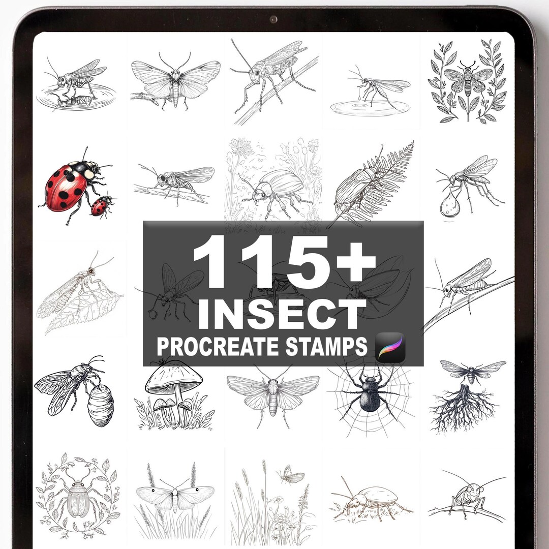 115+ Procreate Insect Brushes | Procreate Stamps | Instant Digital ...