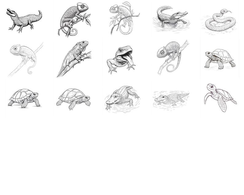 115+ Procreate Reptiles Brushes | Procreate Stamps | Instant Digital ...