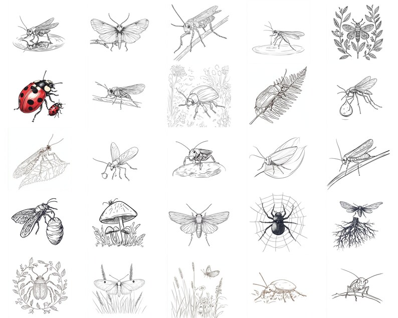 115+ Procreate Insect Brushes | Procreate Stamps | Instant Digital ...