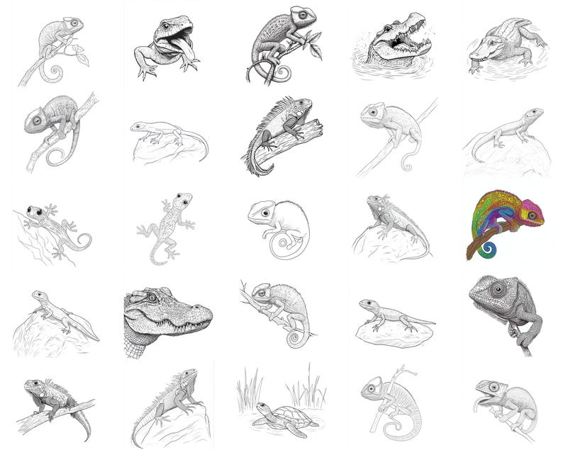 115+ Procreate Reptiles Brushes | Procreate Stamps | Instant Digital ...