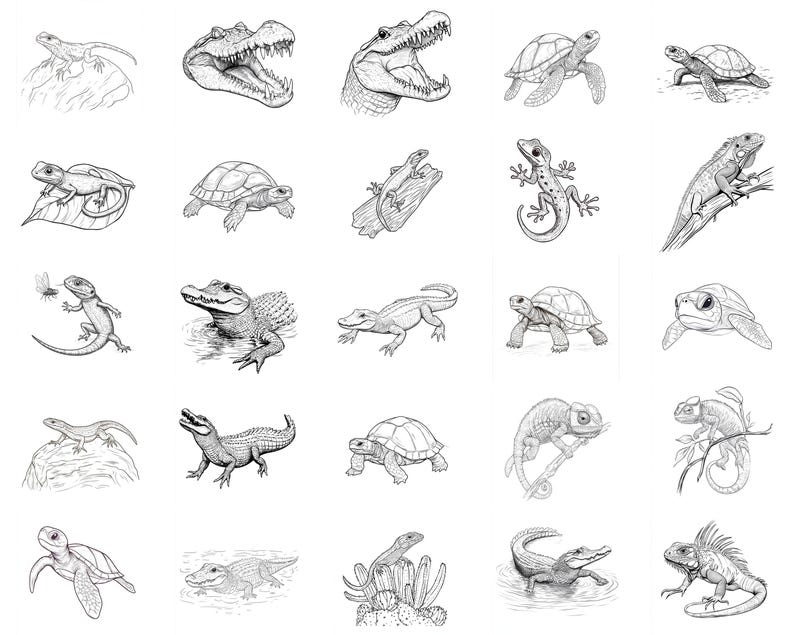 115+ Procreate Reptiles Brushes | Procreate Stamps | Instant Digital ...