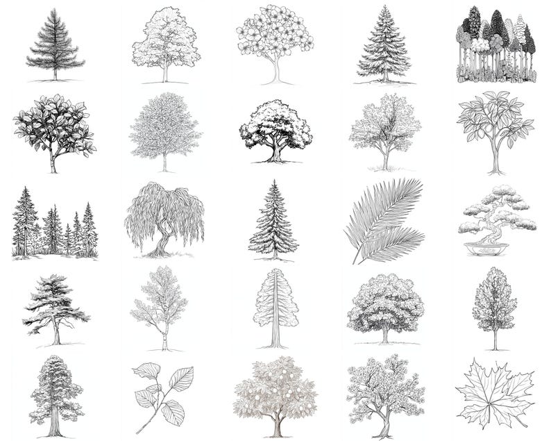 115+ Procreate All Types of Tress Brushes | Procreate Stamps | Instant ...