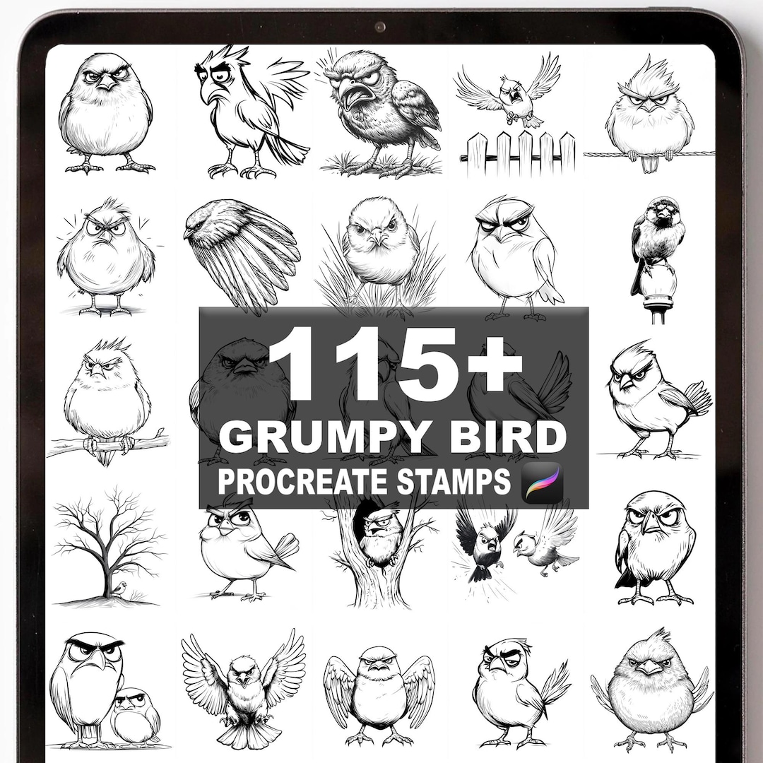 115+ Procreate Grumpy Bird Brushes | Procreate Stamps | Instant Digital ...