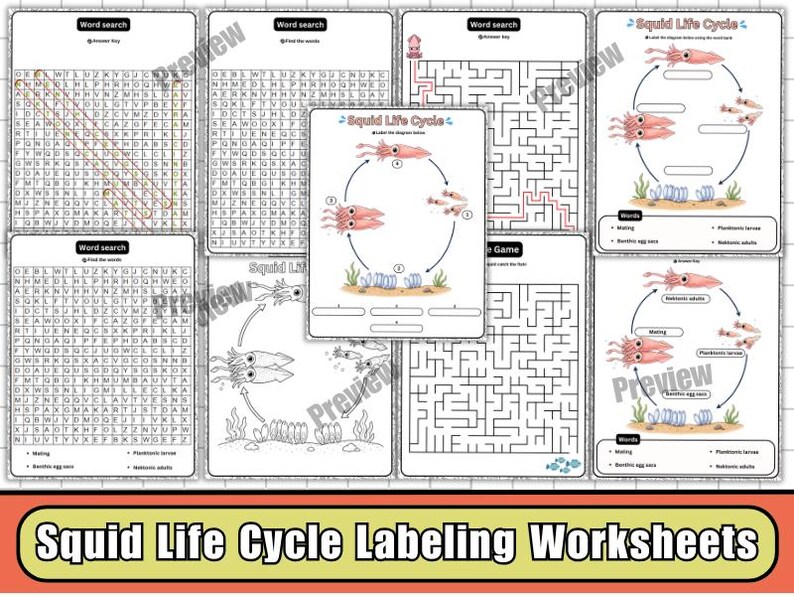 Squid Life Cycle Labeled Diagram Worksheets, Wordsearch, Maze, Coloring ...
