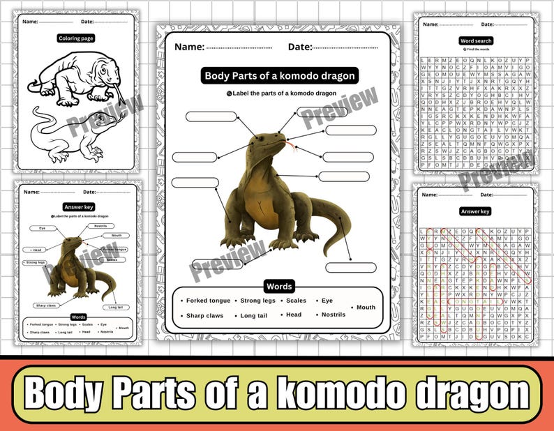 Komodo Dragon Body Parts Labeling Diagram Worksheets, Wordsearch ...