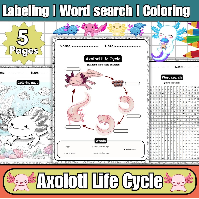 Axolotl Life Cycle Labeling, Diagram Worksheets, Coloring, Word Search ...