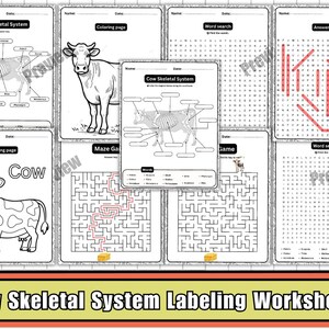 Cow Skeletal System Labeling Diagram, Coloring, Word Search, Maze ...