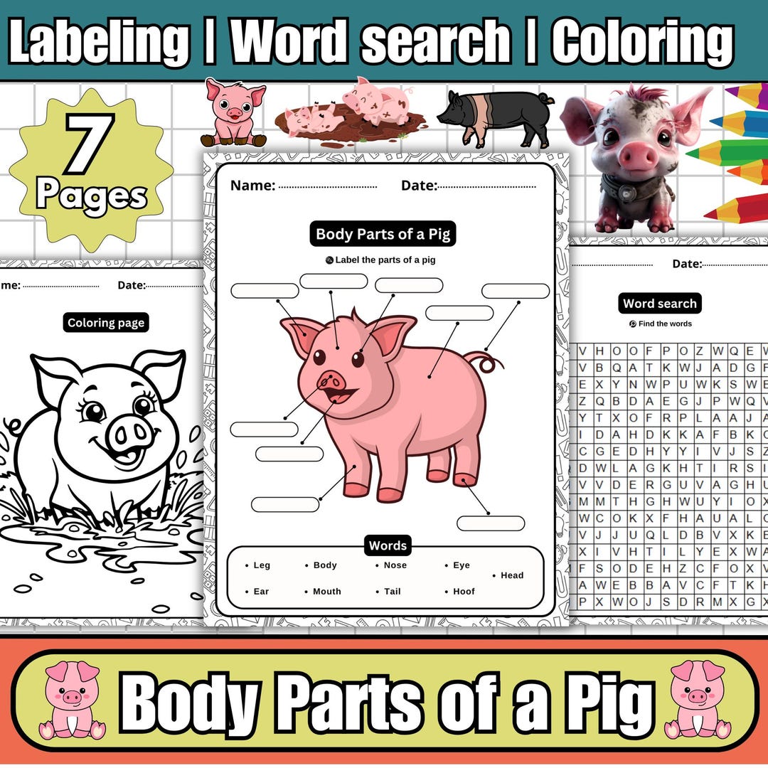 Pig Anatomy-pig Body Parts Labeling Diagram Worksheets,word Search ...