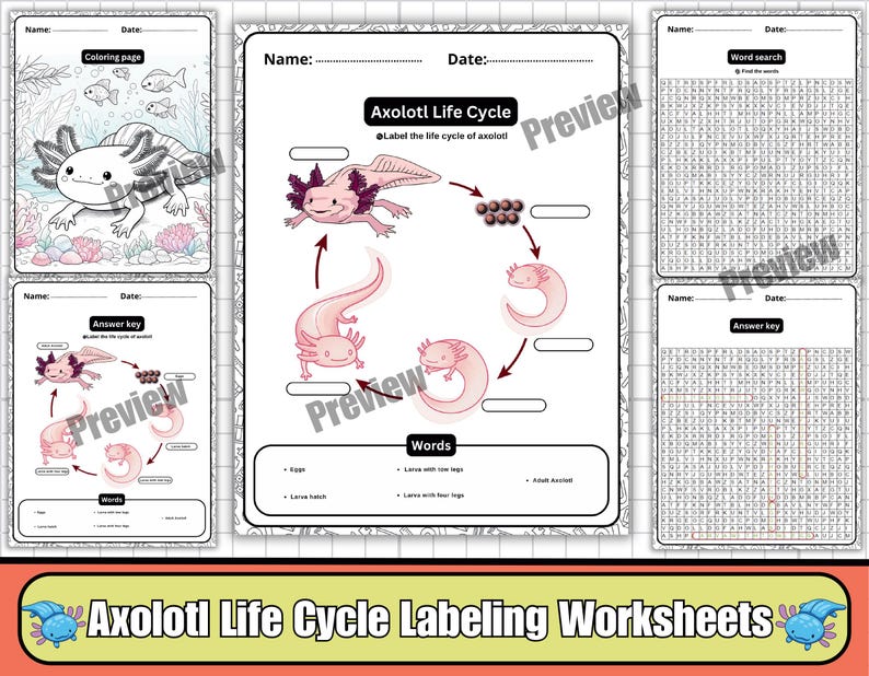 Axolotl Life Cycle Labeling, Diagram Worksheets, Coloring, Word Search ...