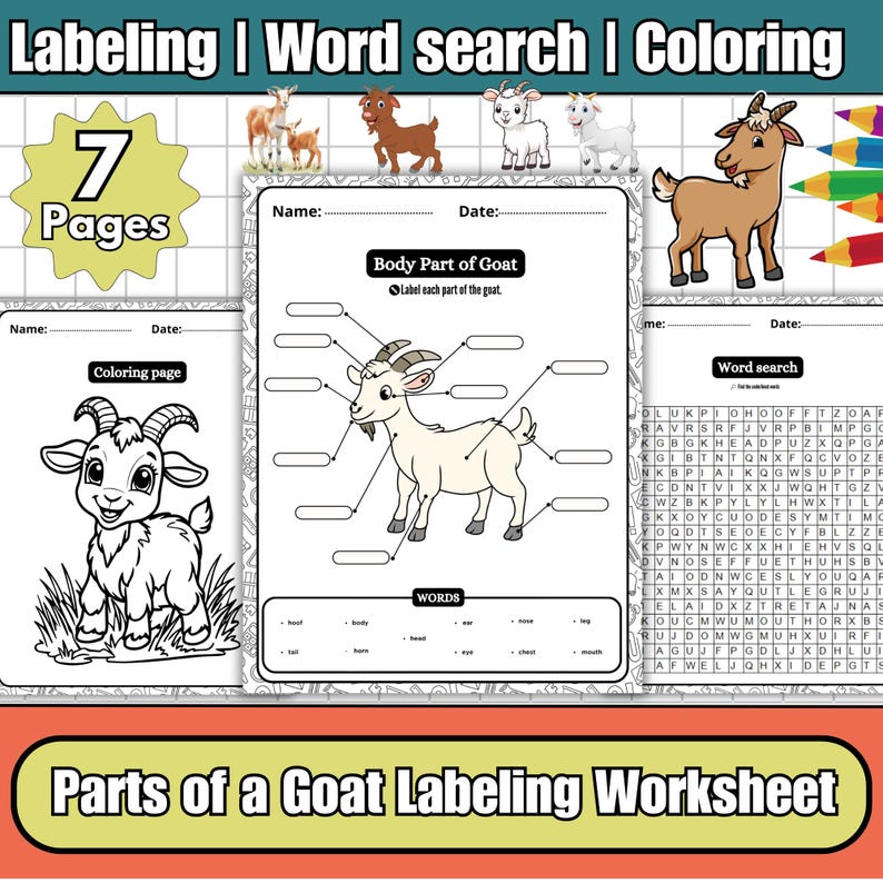 Goat Anatomy Worksheets | Goat Body Parts, Labeling, Word Search ...