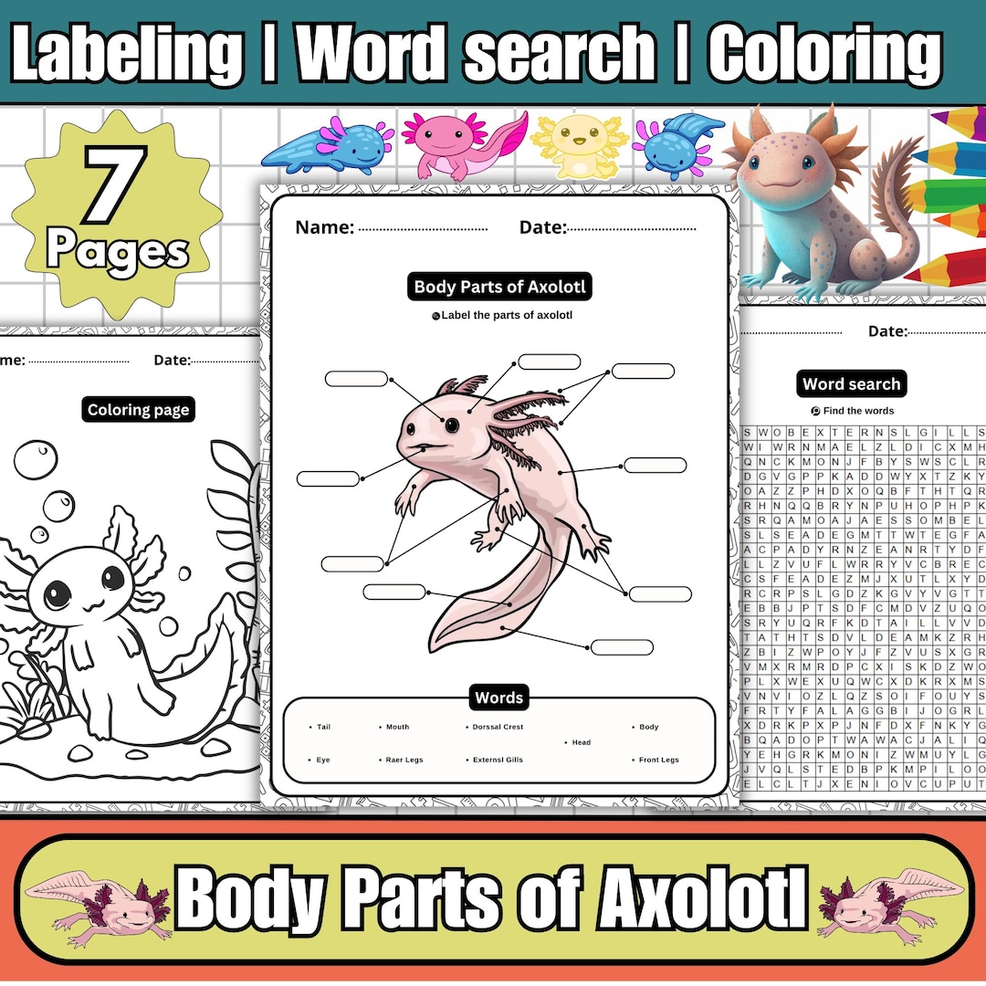 Axolotl Anatomy | Body Parts of Axolotl Labeling Diagram, Worksheets ...