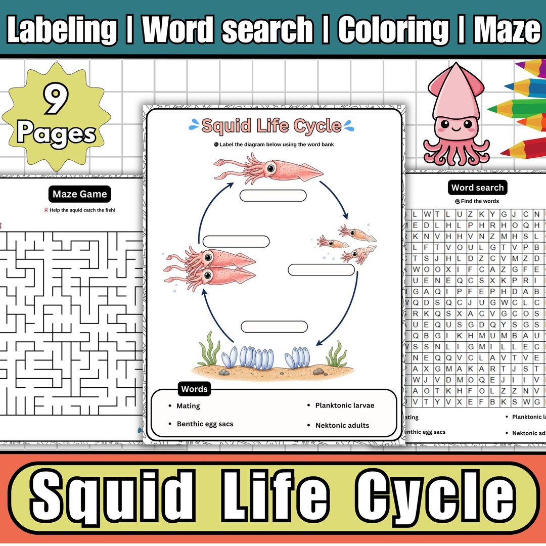 Squid Life Cycle Labeled Diagram Worksheets, Wordsearch, Maze, Coloring ...