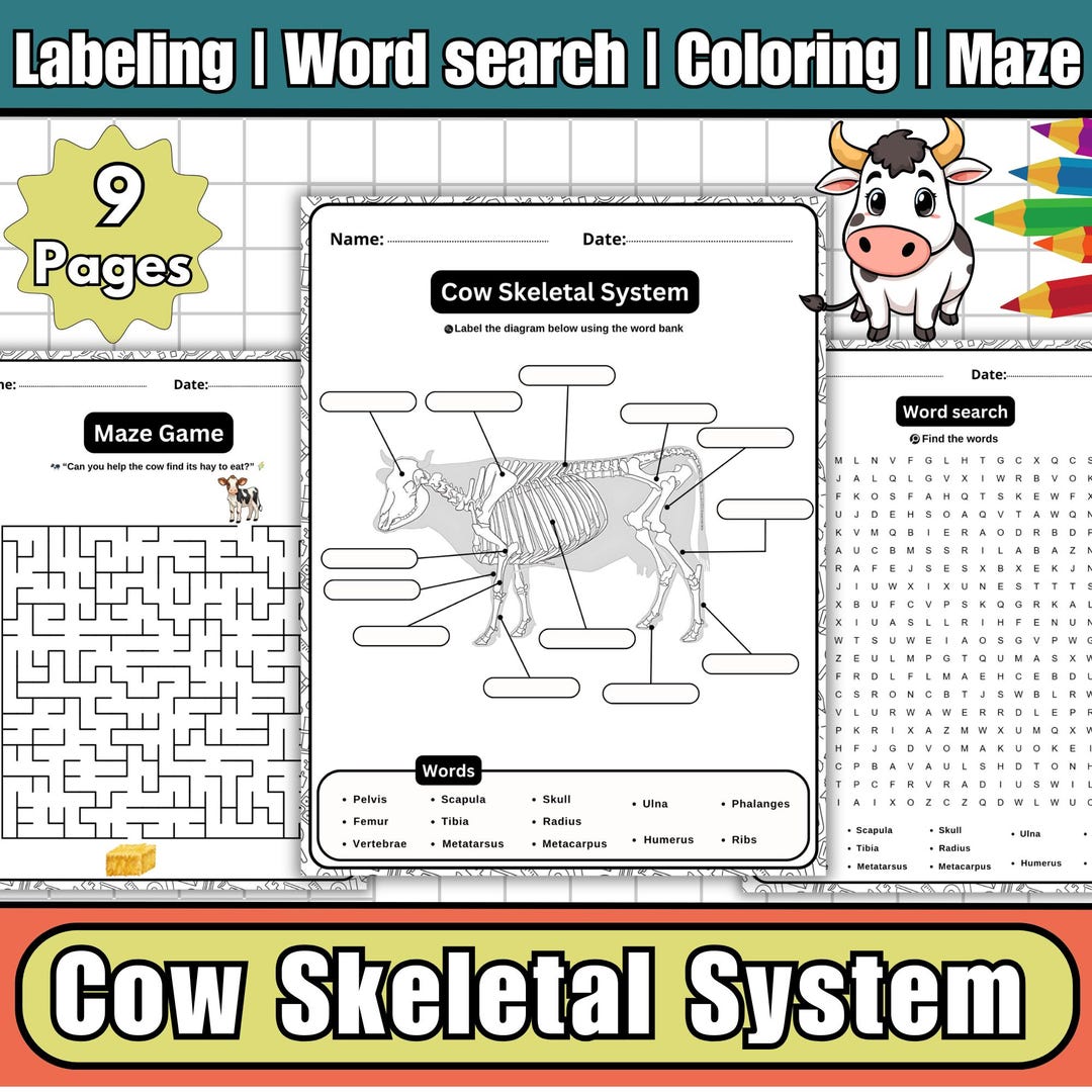 Cow Skeletal System Labeling Diagram, Coloring, Word Search, Maze ...
