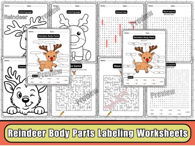 Reindeer Anatomy Activity | Reindeer Body Parts, Winter Science ...