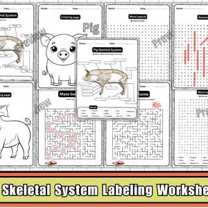 Pig Skeletal System Labeling, Word Search, Maze & Coloring | Science ...