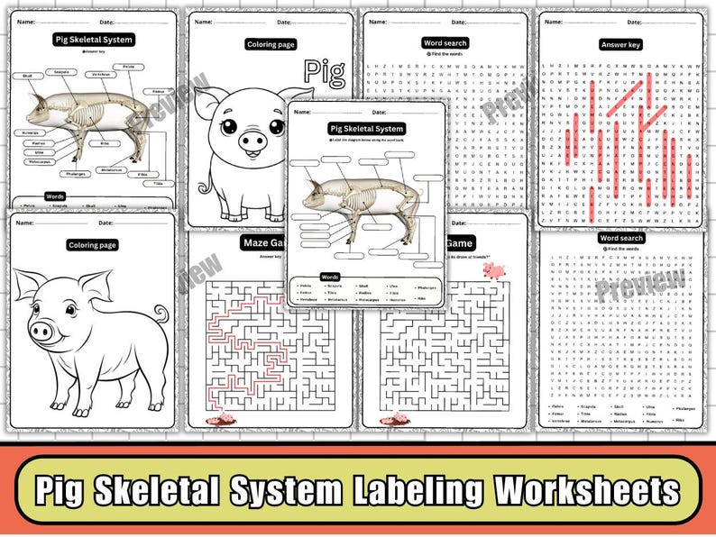 Pig Skeletal System Labeling, Word Search, Maze & Coloring | Science ...
