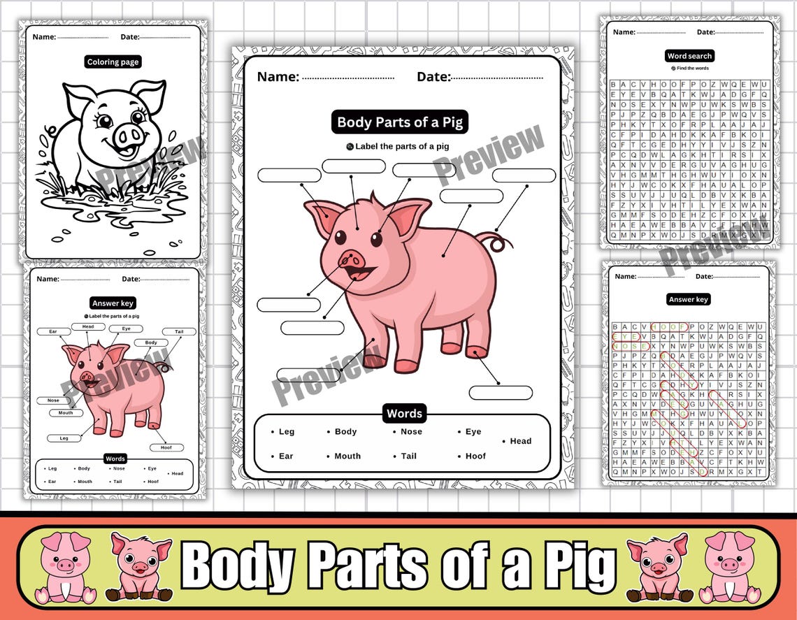 Pig Anatomy-pig Body Parts Labeling Diagram Worksheets,word Search ...