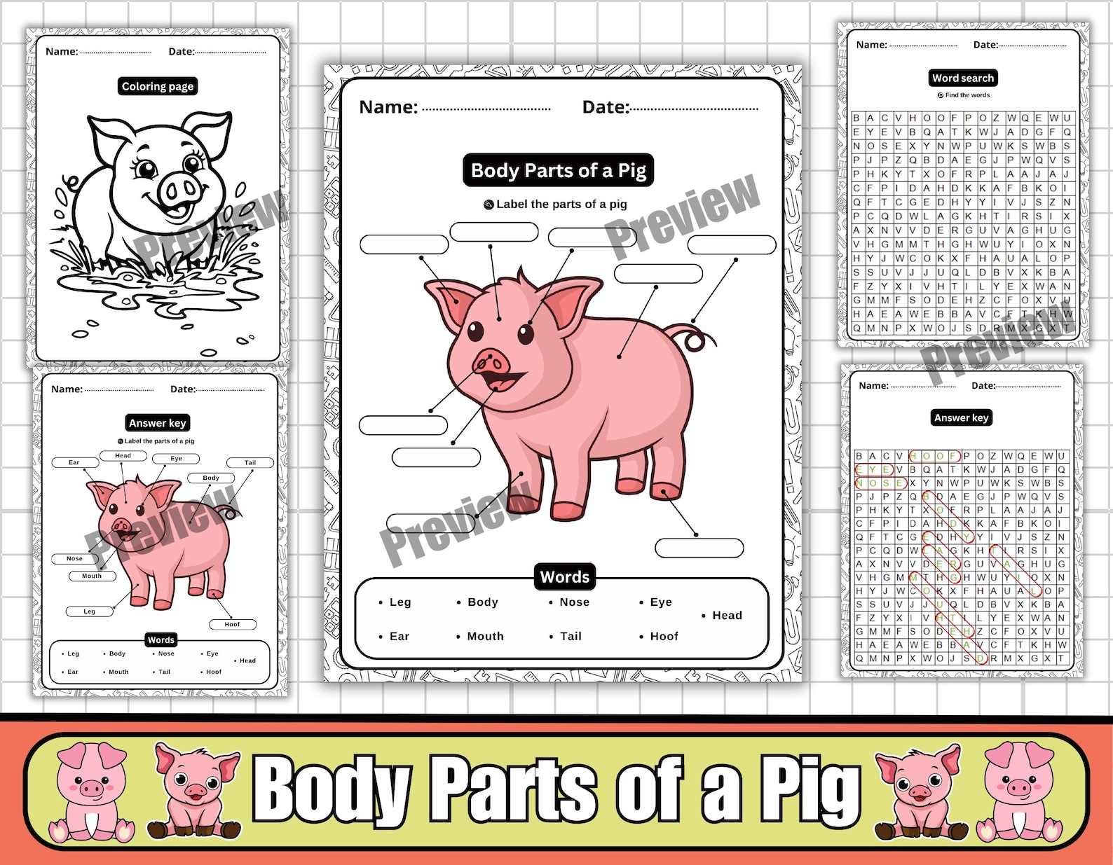 Pig Anatomy-pig Body Parts Labeling Diagram Worksheets,word Search ...