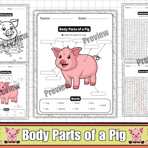 Pig Anatomy-pig Body Parts Labeling Diagram Worksheets,word Search ...