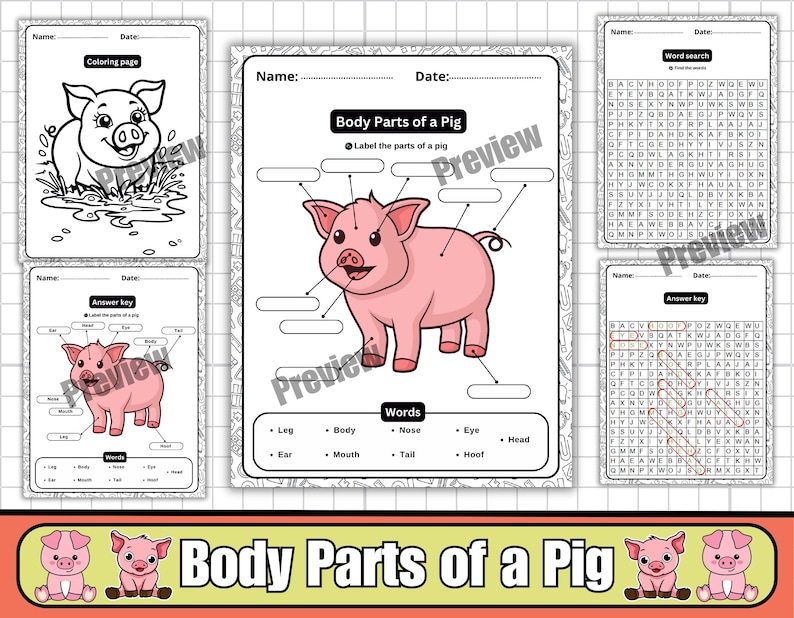 Pig Anatomy-pig Body Parts Labeling Diagram Worksheets,word Search ...
