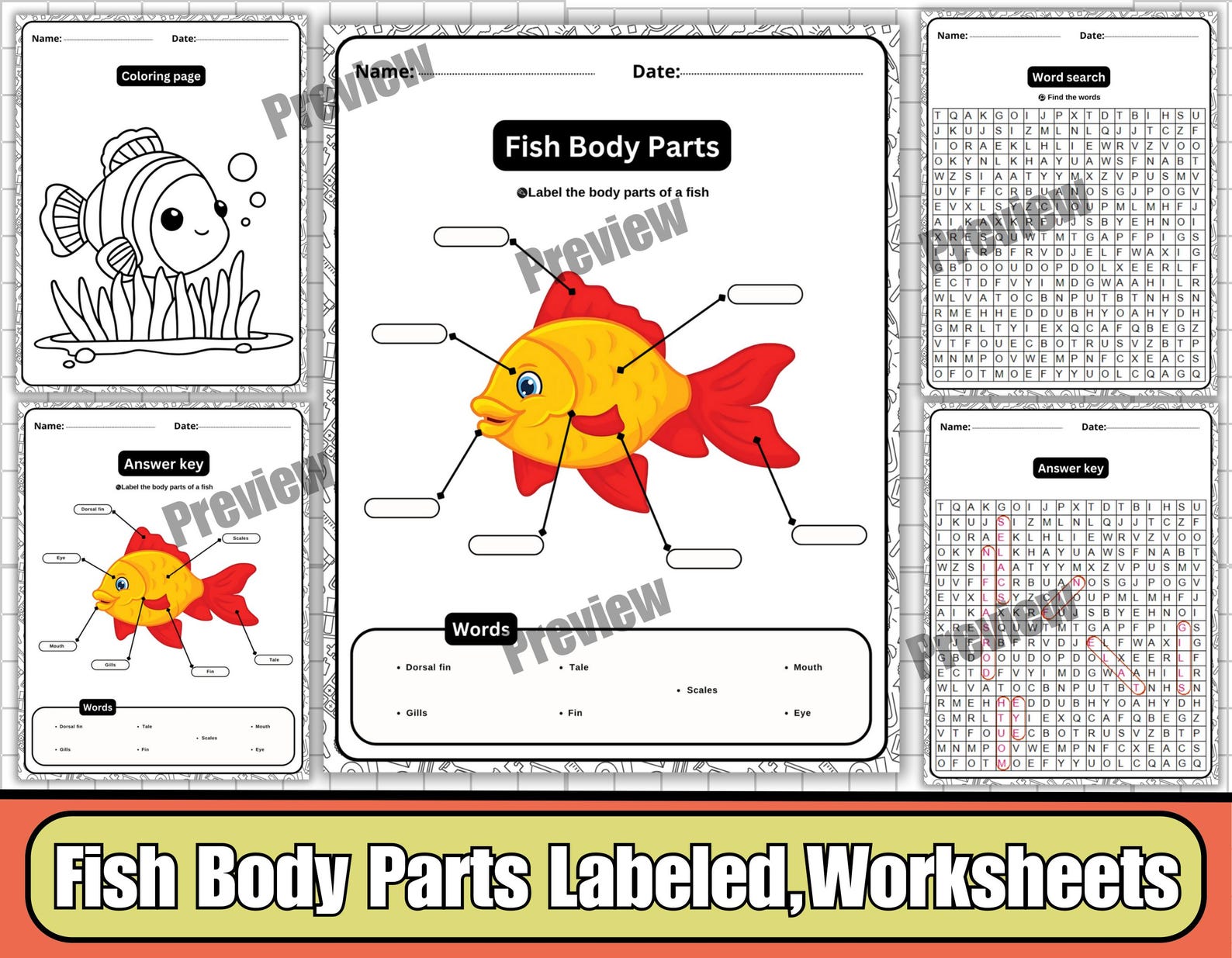 Fish Body Parts | Labeled Diagram Worksheets, Word Search, Coloring ...