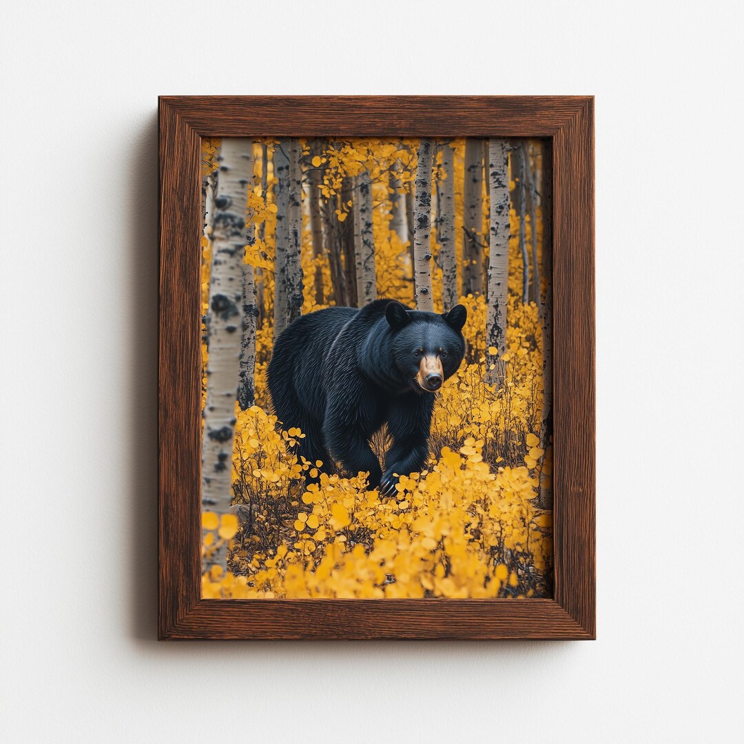 Black Bear Aspen Grove Art Print – Autumn Landscape (digital Download ...