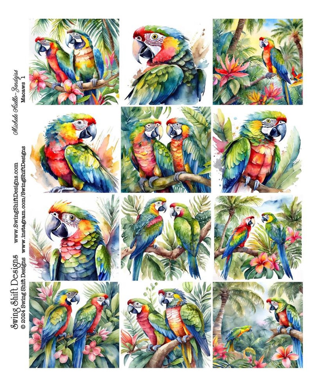 Macaw Birds, Adorable Tropical Macaws, Square Shaped Watercolor Style ...