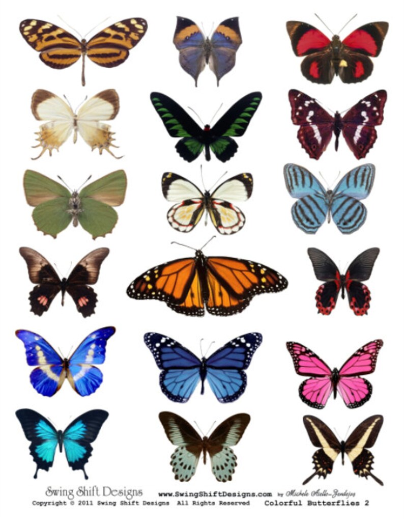 Colorful Butterflies V2 Collage Sheet, Beautiful Vivid, Full Color ...