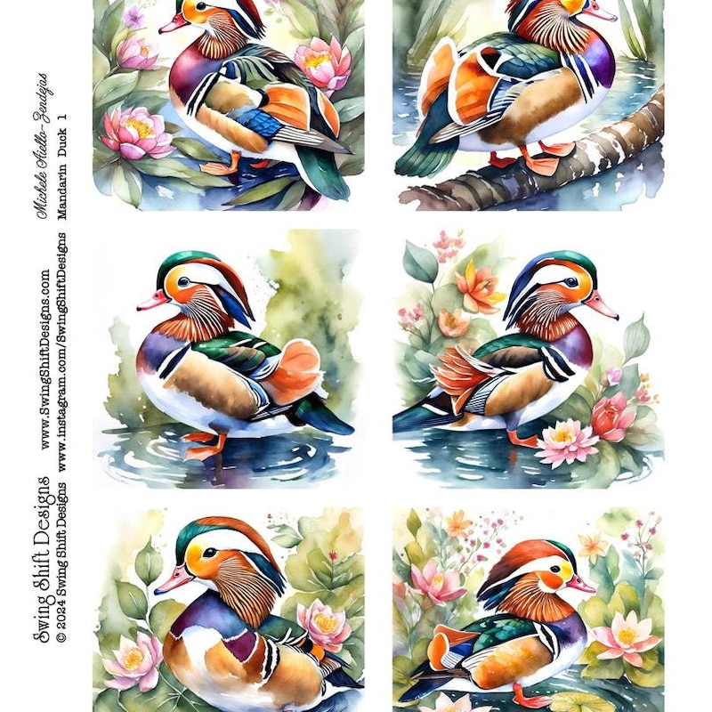 Mandarin Duck Art - Etsy