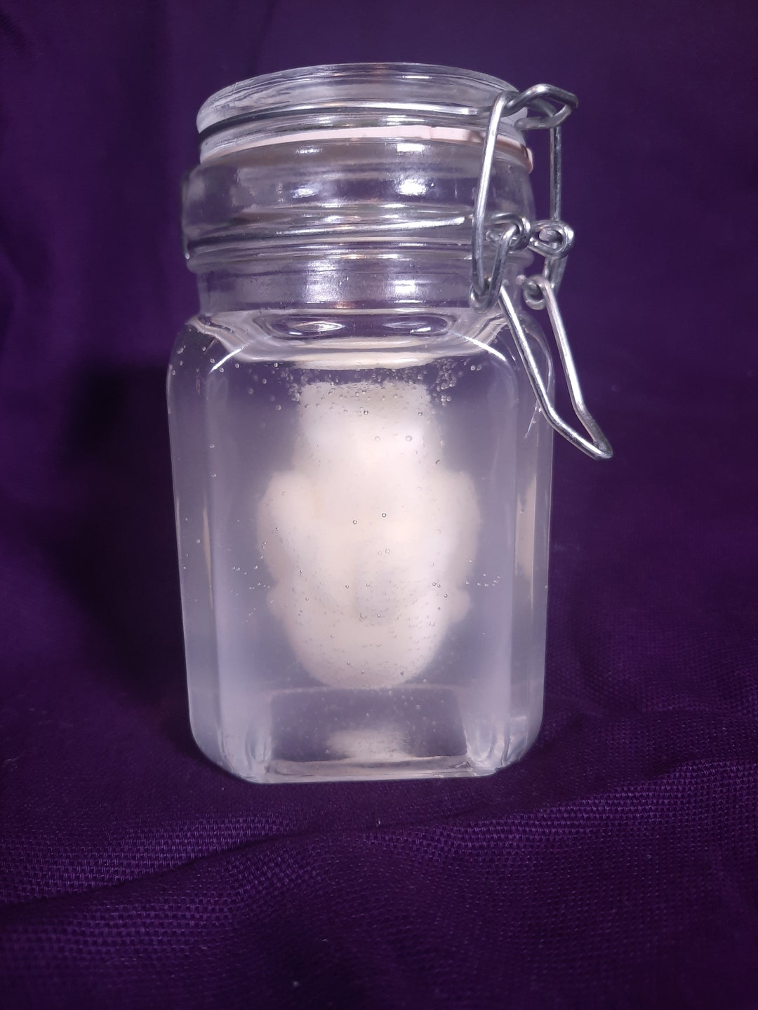Bat Fetus in a Jar - Etsy