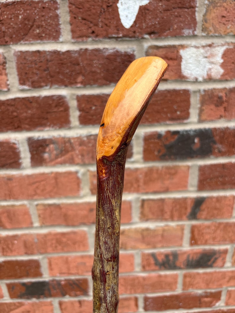 Hawthorn Walking Stick - Etsy