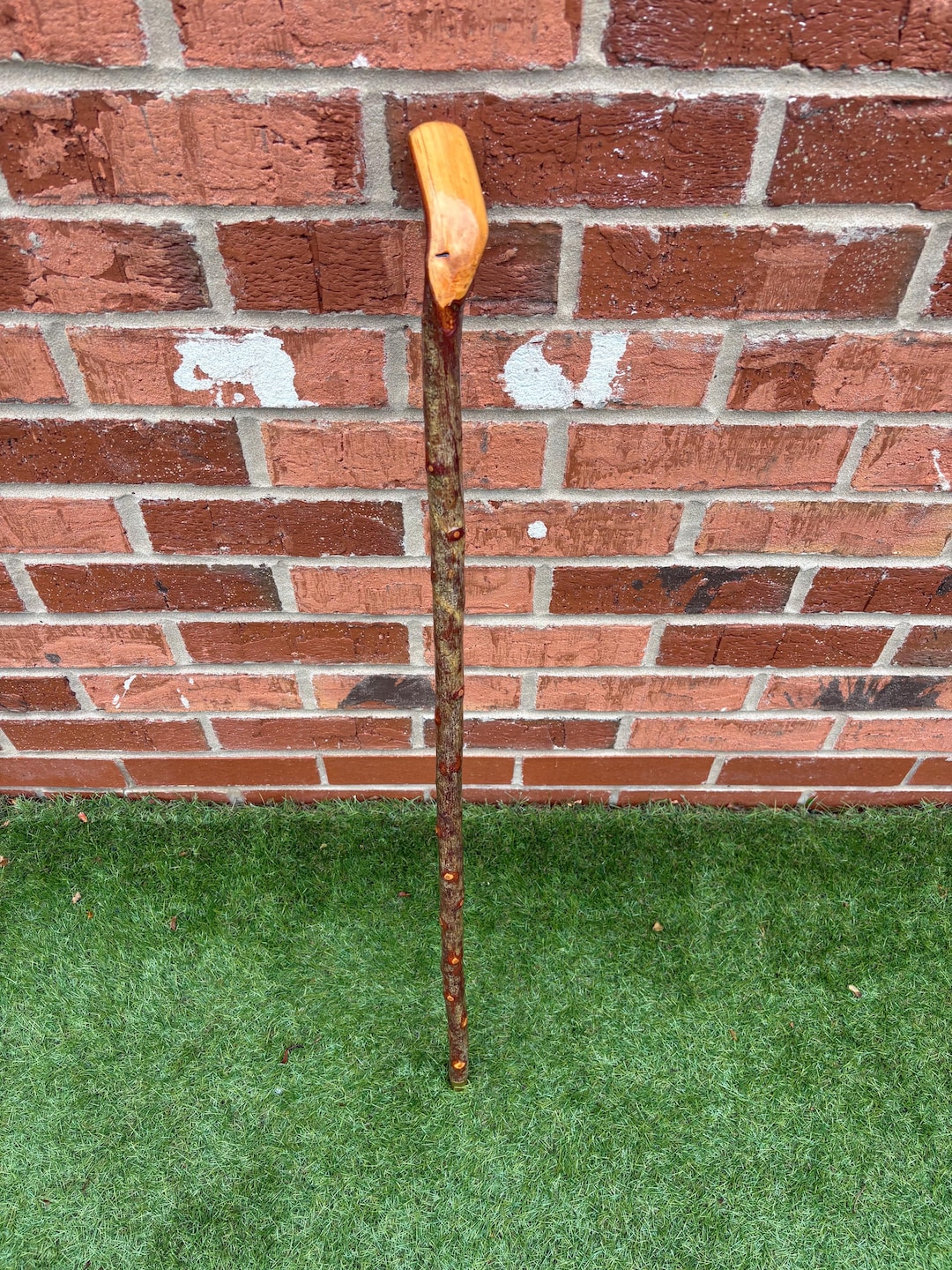 Hawthorn Walking Stick - Etsy