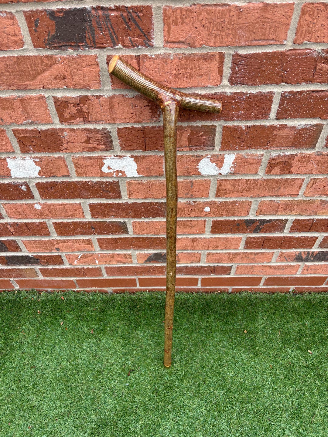 Thick Hazel Walking Stick - Etsy