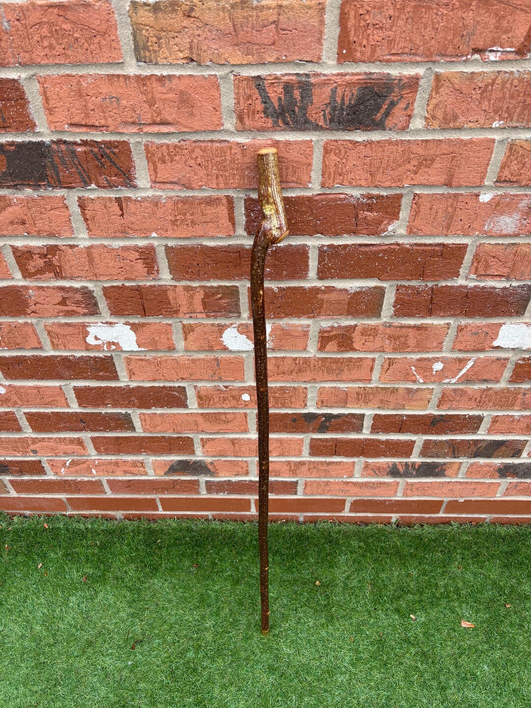 Hazel Walking Stick With Handle - Etsy