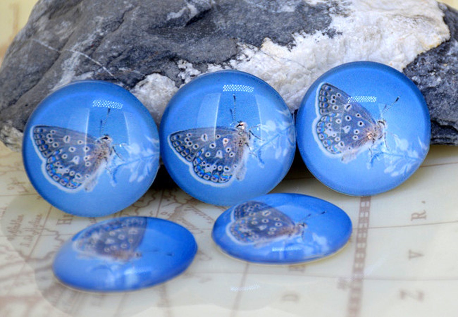 Circle Fly Blue Butterfly Handmade Photo Glass Cabochon - Etsy