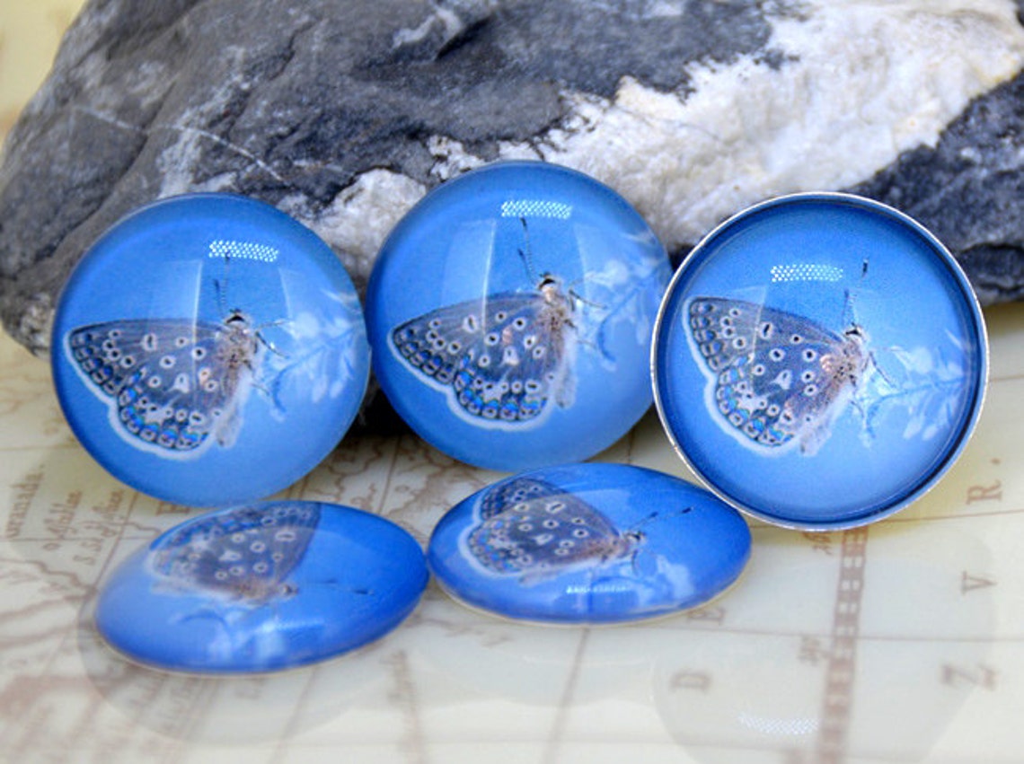 Circle Fly Blue Butterfly Handmade Photo Glass Cabochon - Etsy