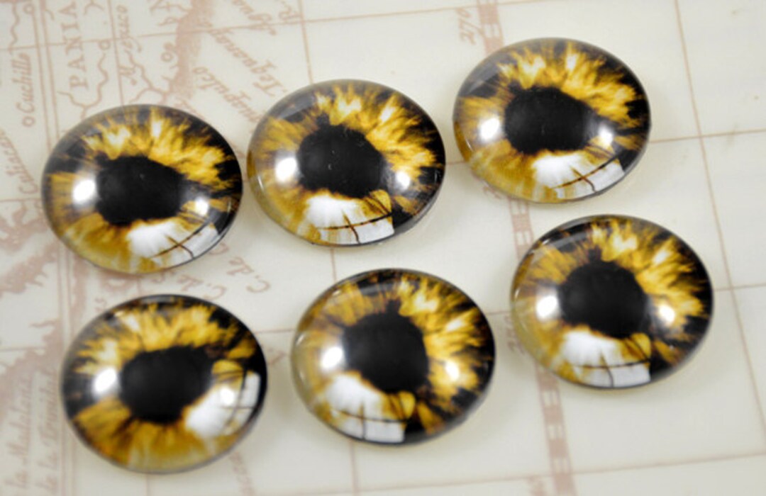 Circle Yellow Eye Handmade Photo Glass Cabochon Glass Dome 10mm 12mm ...
