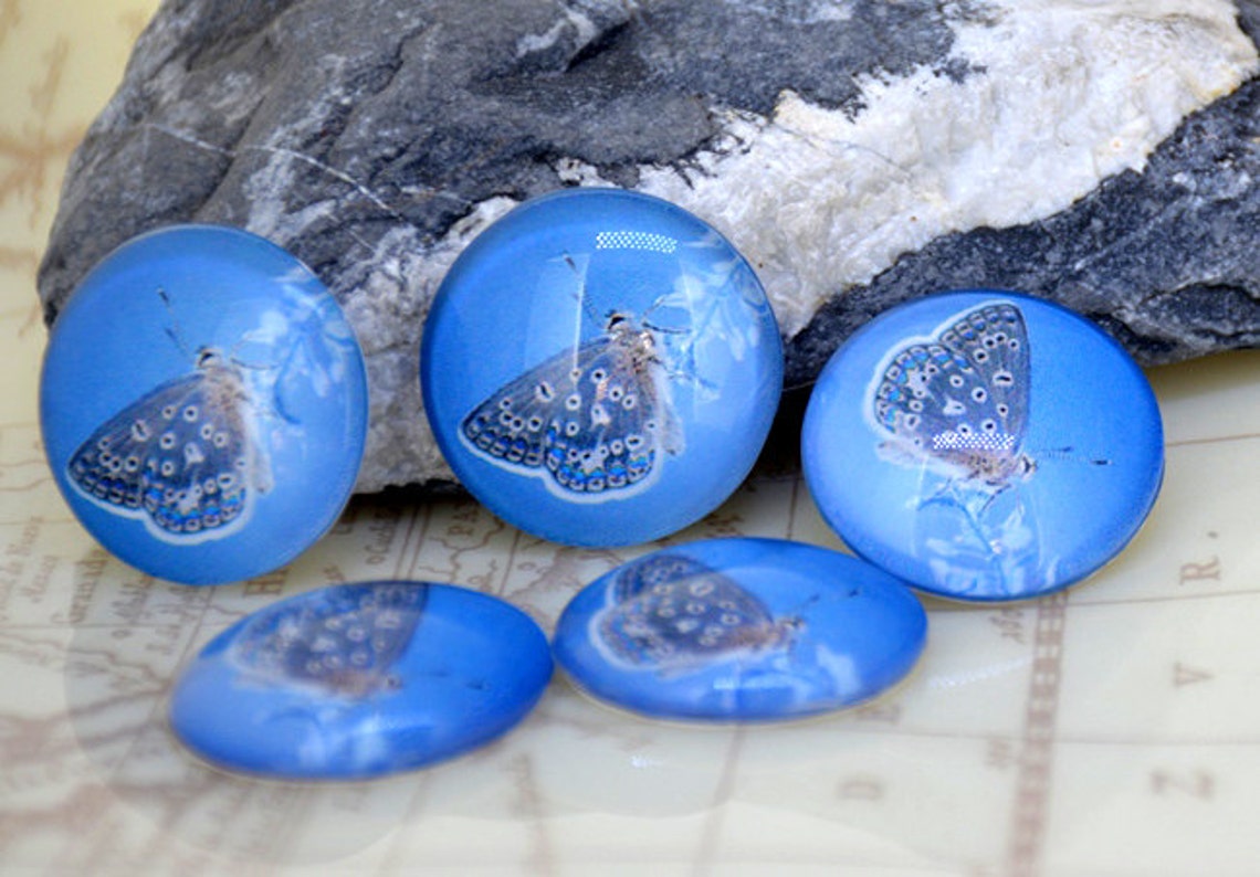 Circle Fly Blue Butterfly Handmade Photo Glass Cabochon - Etsy