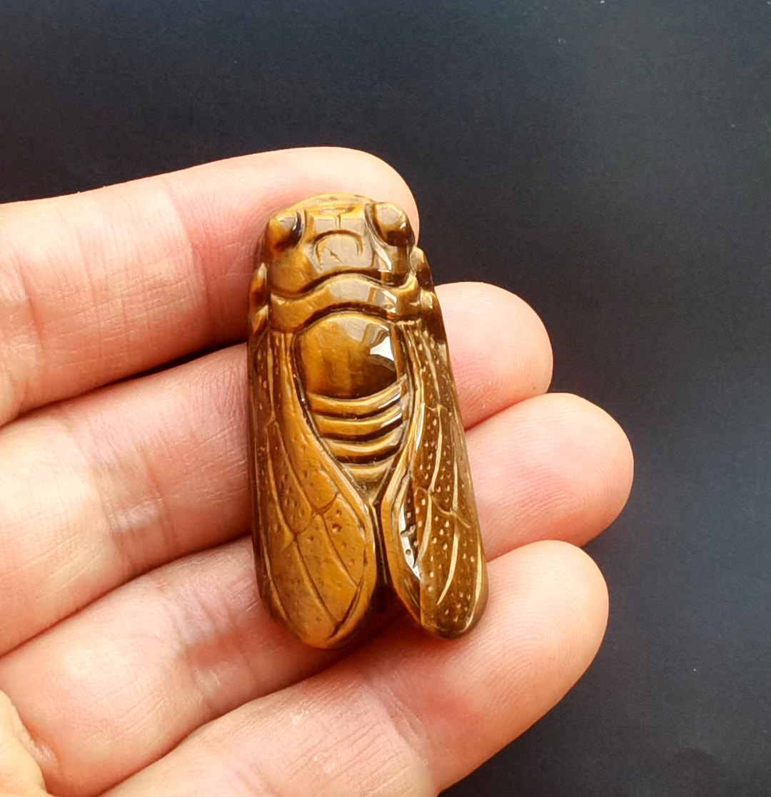 3D Cicada,carving Natural Yellow Tiger Eye Stone Pendant,good Lucky ...
