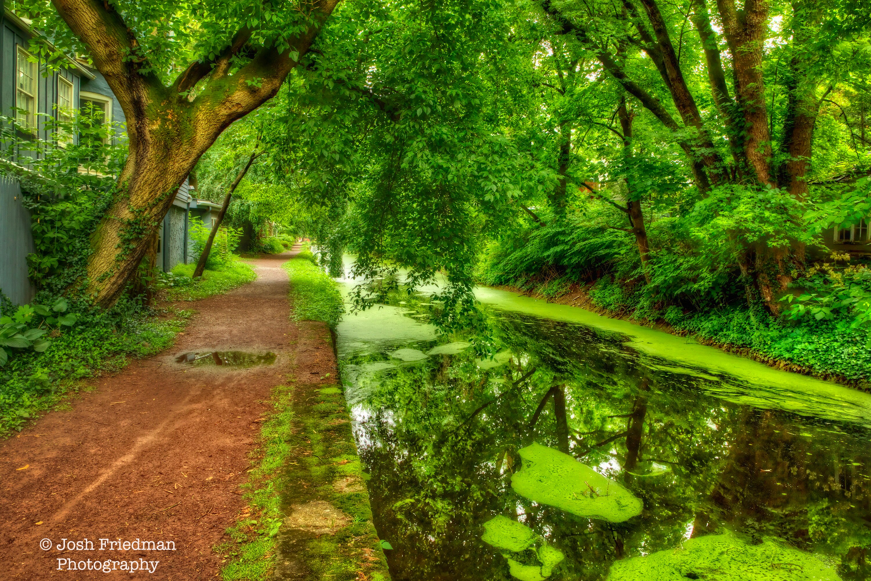 Delaware Canal Towpath New Hope Landscape Photograph Bucks County ...