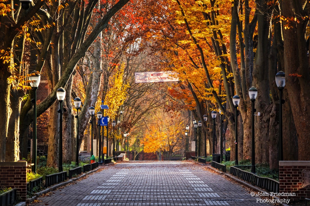 University of Pennsylvania Locust Walk Autumn Photograph Trees Fall ...