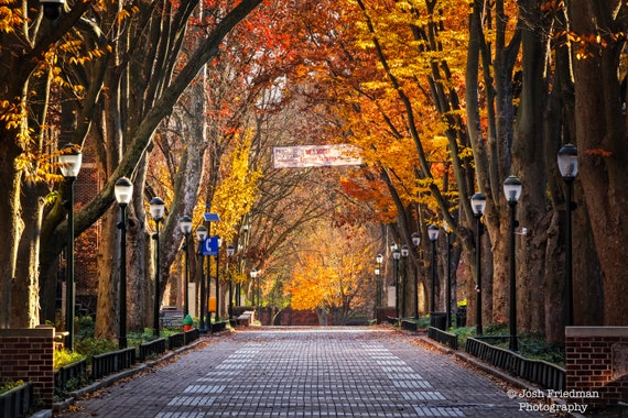 University of Pennsylvania Locust Walk Autumn Photograph Trees - Etsy