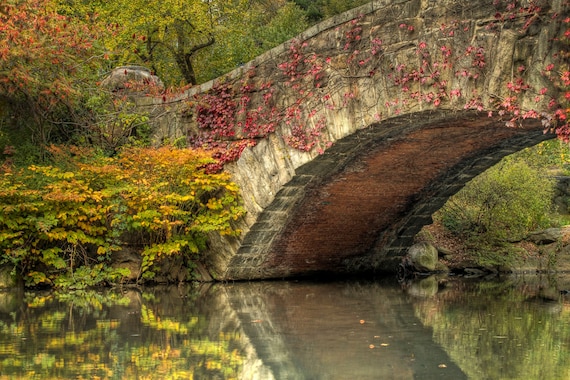 Fall Foliage Central Park Bridge