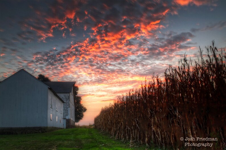 Farm Sunset in Autumn Landscape Photograph Patterson Farm Pink | Etsy