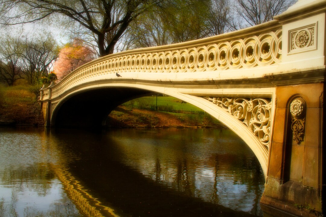 Bow Bridge in Spring, Central Park, New York City, Landscape Photograph ...