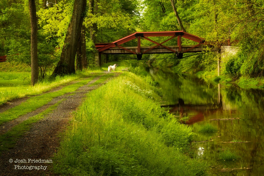 Delaware Canal and Towpath in Spring, Landscape Photograph, Bucks ...