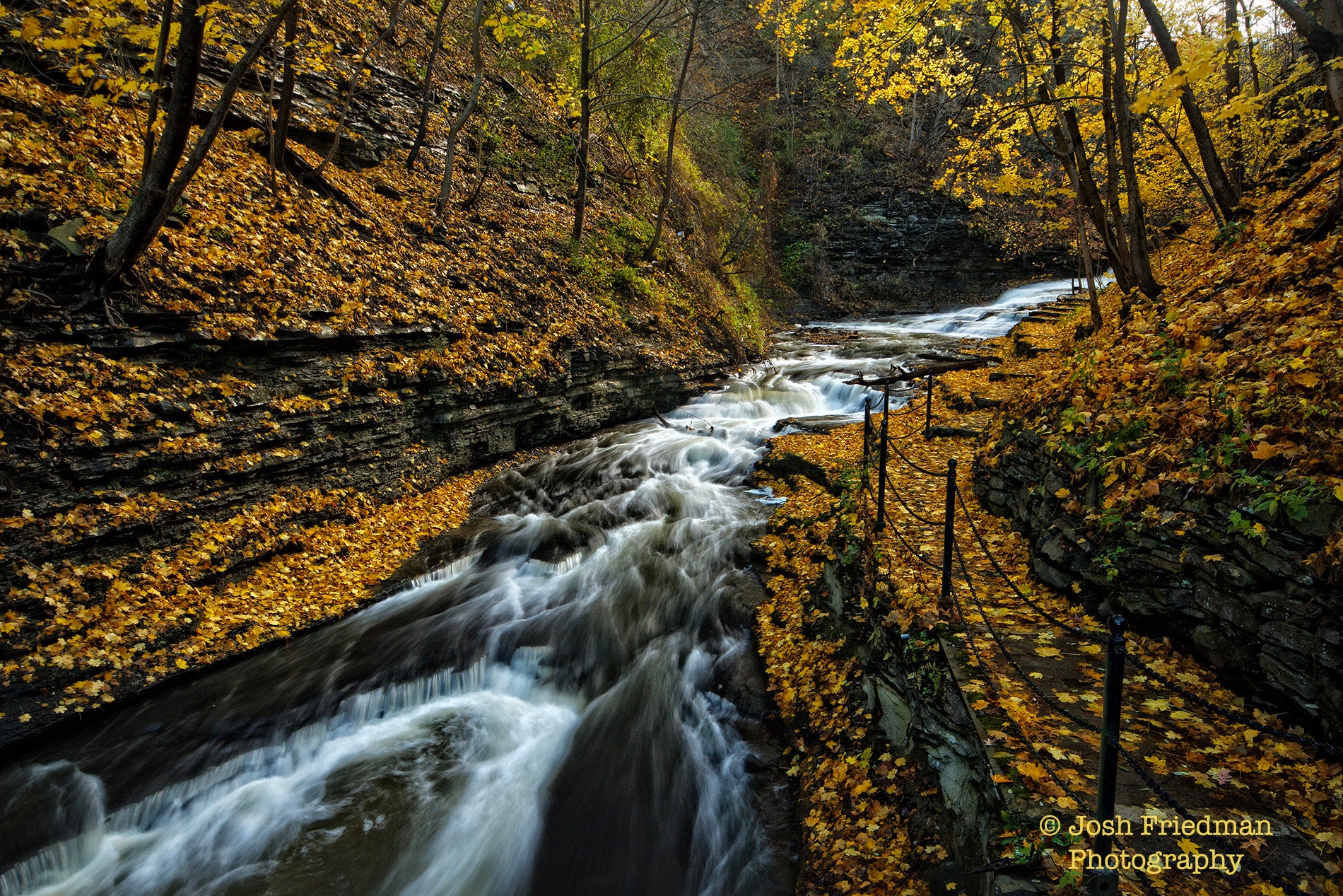 Cornell Campus Gorges