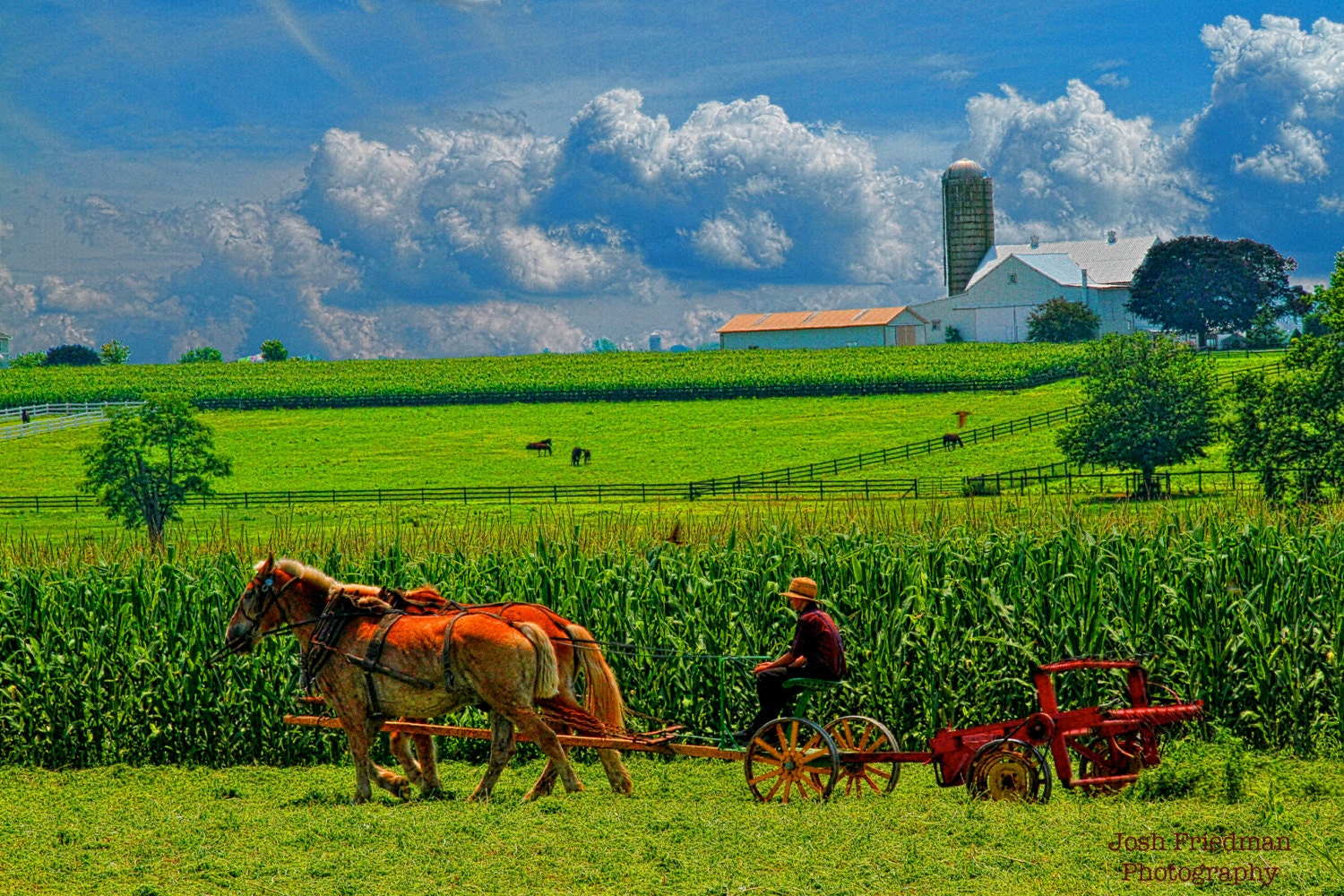 Pennsylvania Dutch Countryside Fine Art Photograph Amish | Etsy